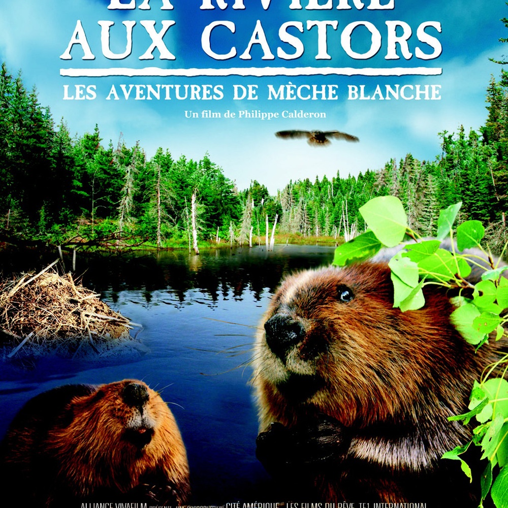 LA RIVIÈRE AUX CASTORS - LES AVENTURES DE MÈCHE BLANCHE (2006) - Film québécois - Cinoche.com