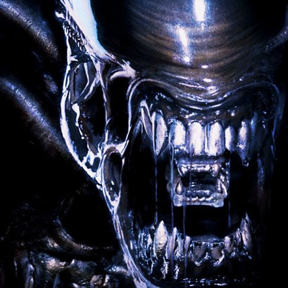 ALIEN VS PRÉDATEUR (2004) - Film - Cinoche.com